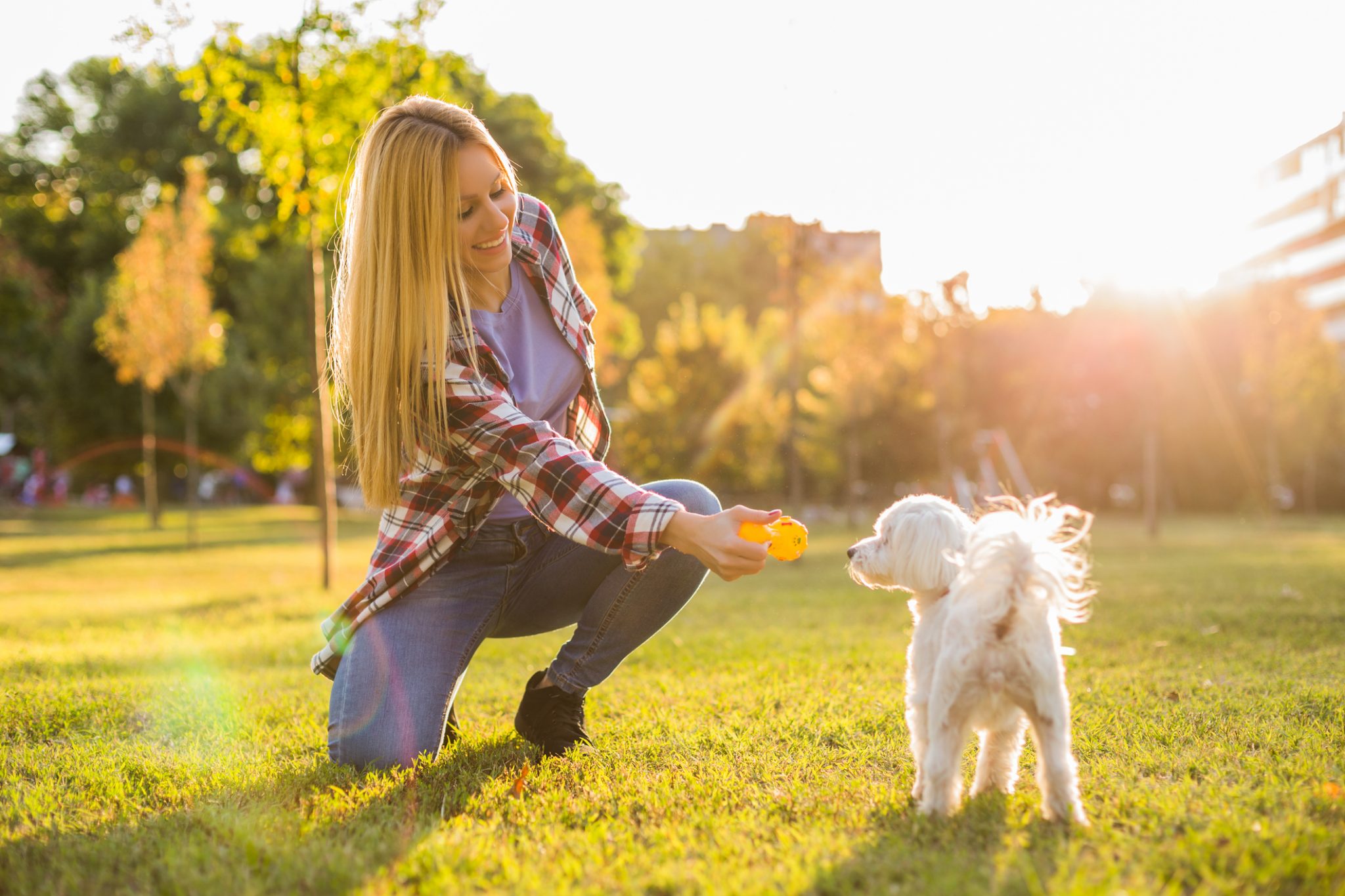 Fun Games To Play With Your Dog Paws Wings And Fins Fun Games To Play With Your Dog Paws Wings And Fins